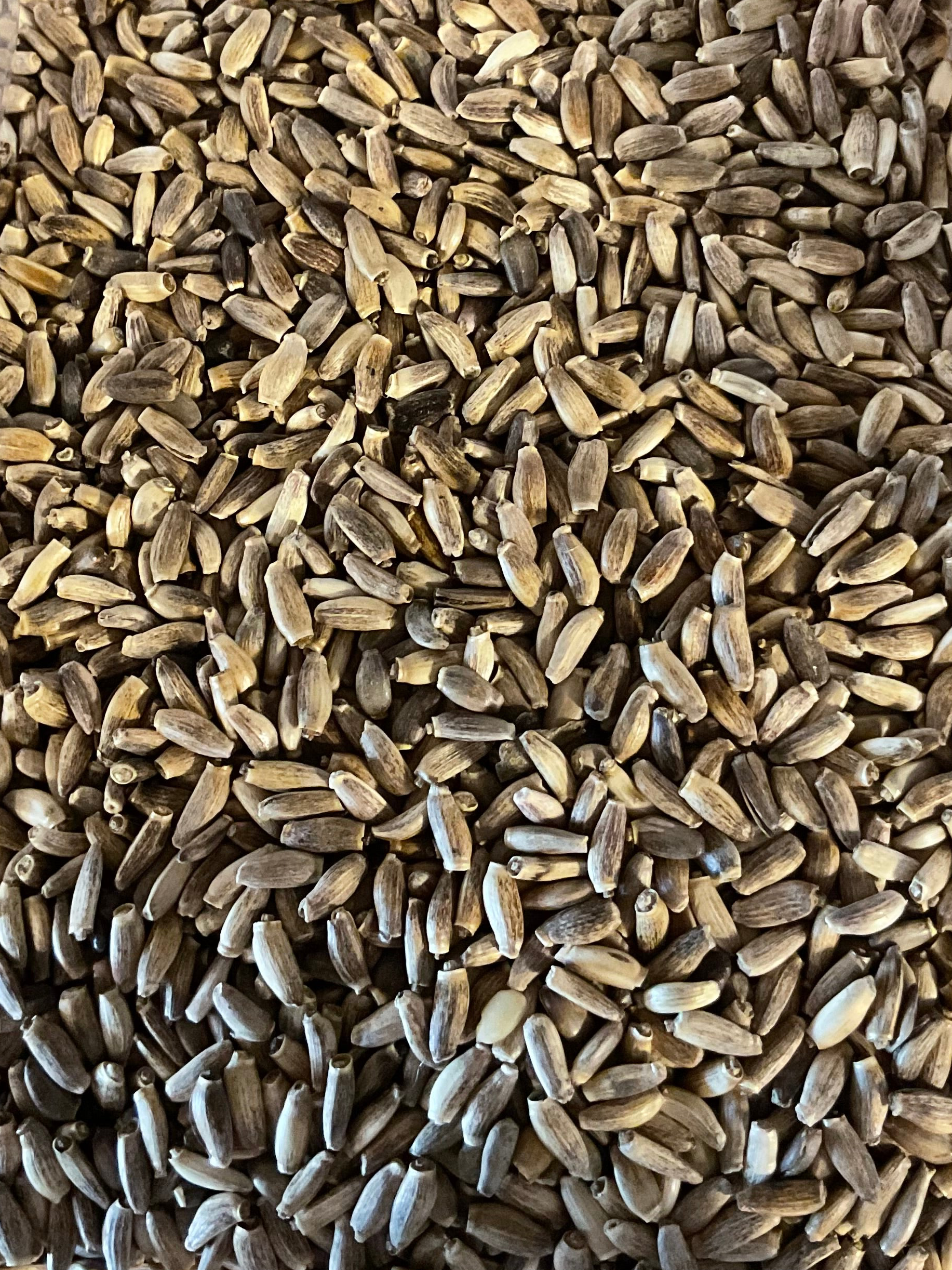 Milk Thistle Seed – Geechee Girl Apothecary